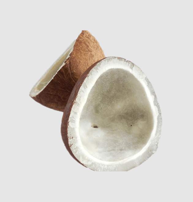 Copra – AAS Global Indonesia